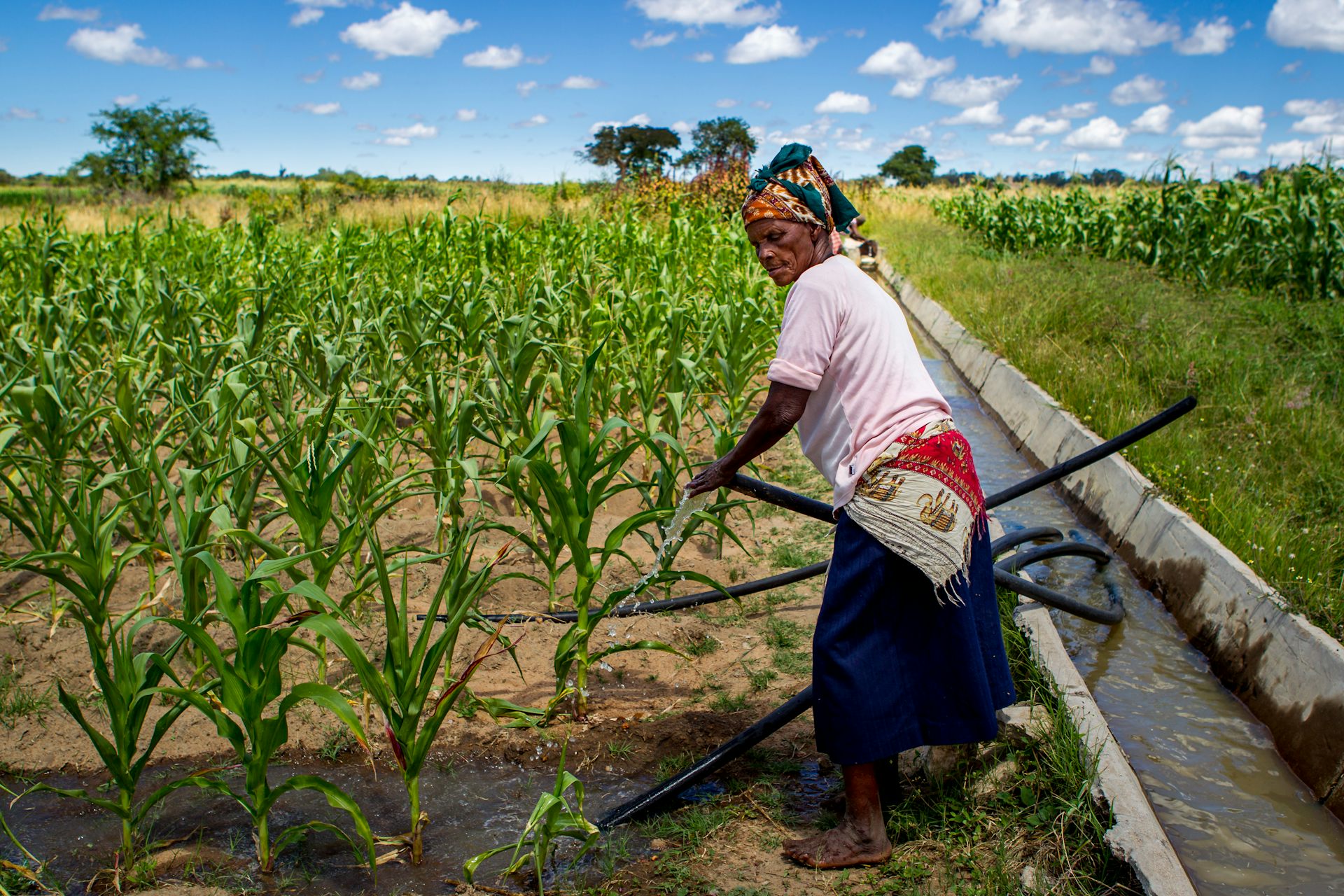 We studied smallholder farming in three African countries for 10 years ...