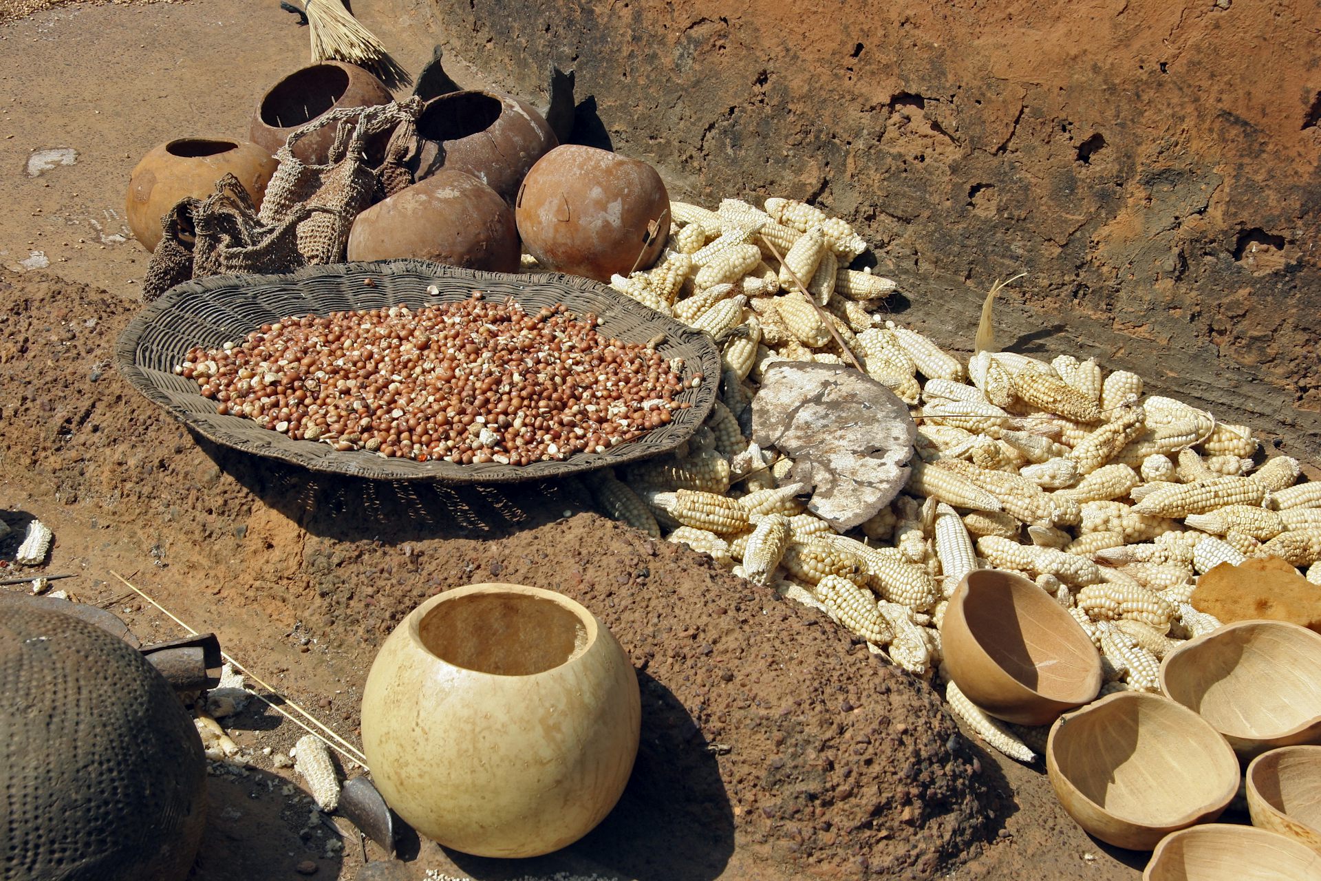 Traditional fermented foods of Africa – and why we should continue to ...