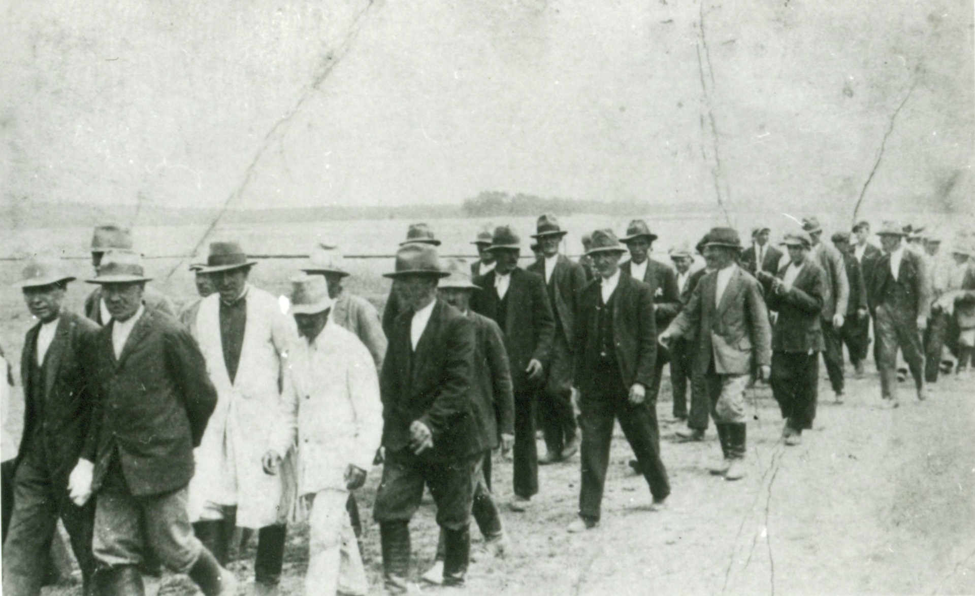 The radical European peasant movements that formed populist parties and ...