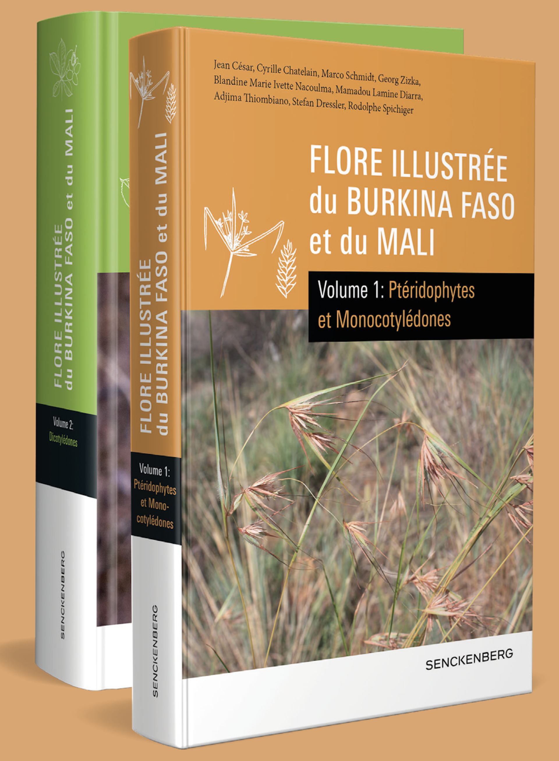 Burkina Faso and Mali’s fabulous flora: new plant life record released
