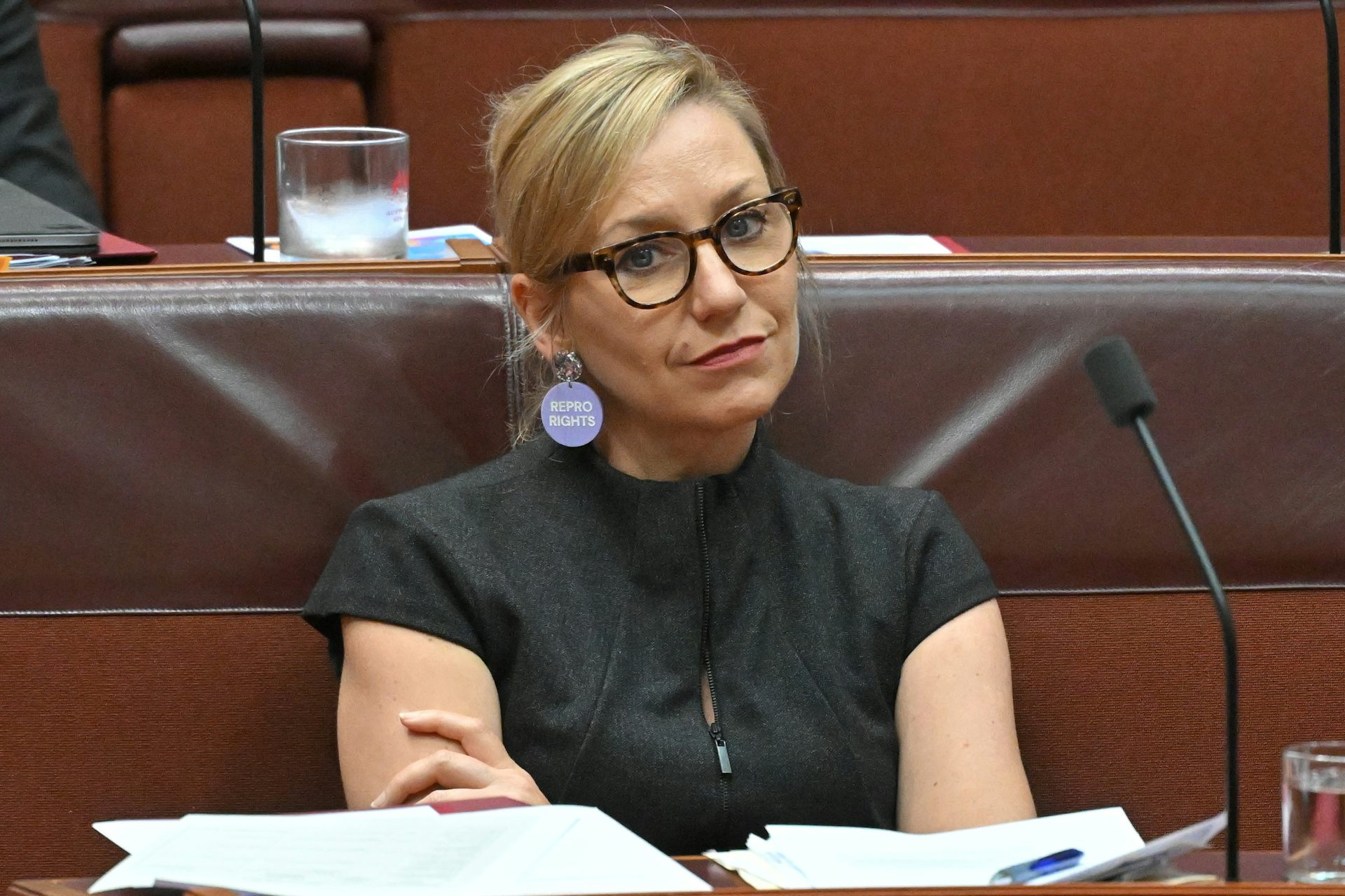 The new leader of the Greens sits in the Senate. Why is that so unusual ...