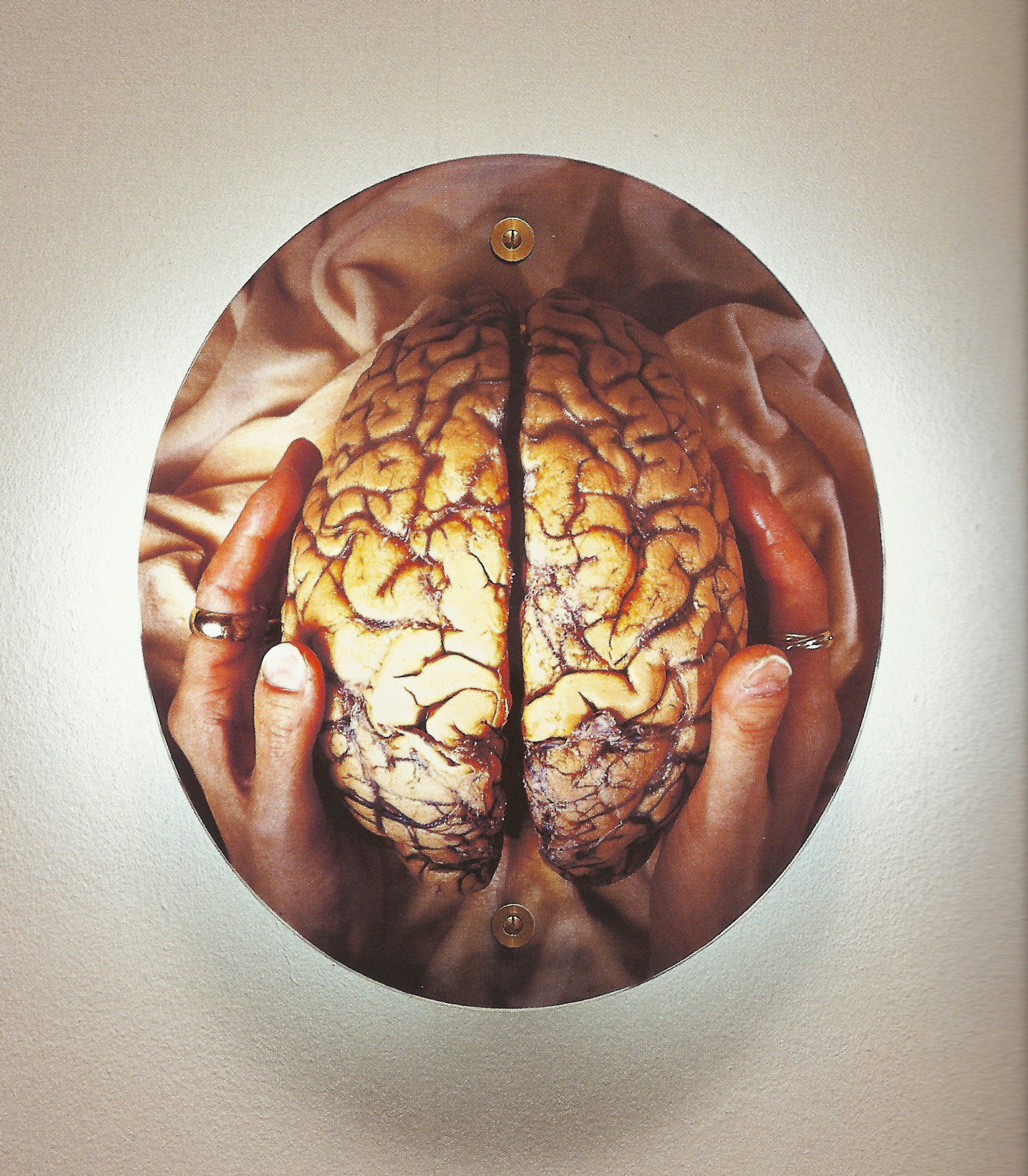 Helen Chadwick: Life Pleasures – a rich and witty retrospective that smells like chocolate