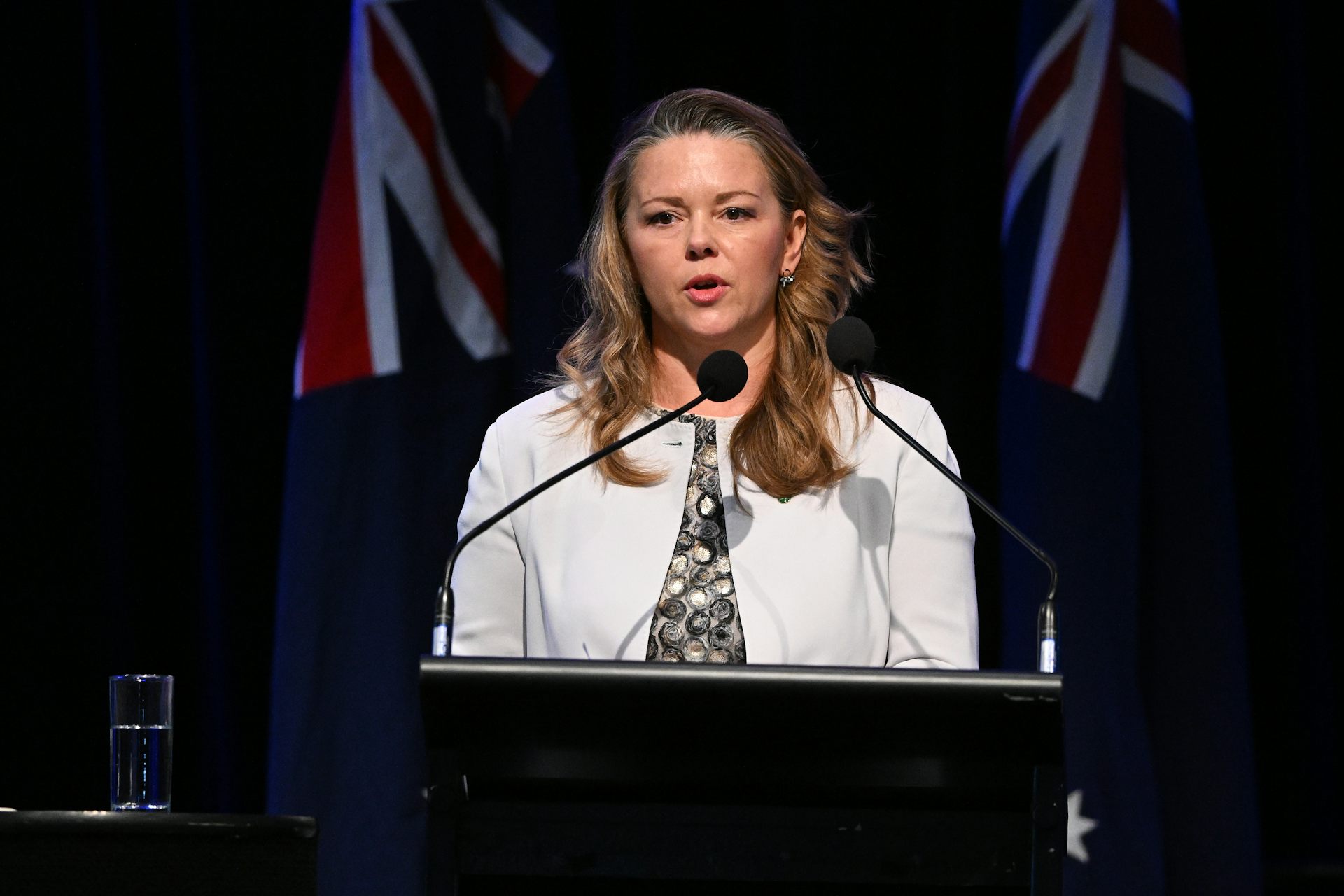 Politics with Michelle Grattan: Zoe McKenzie on everything that went ...