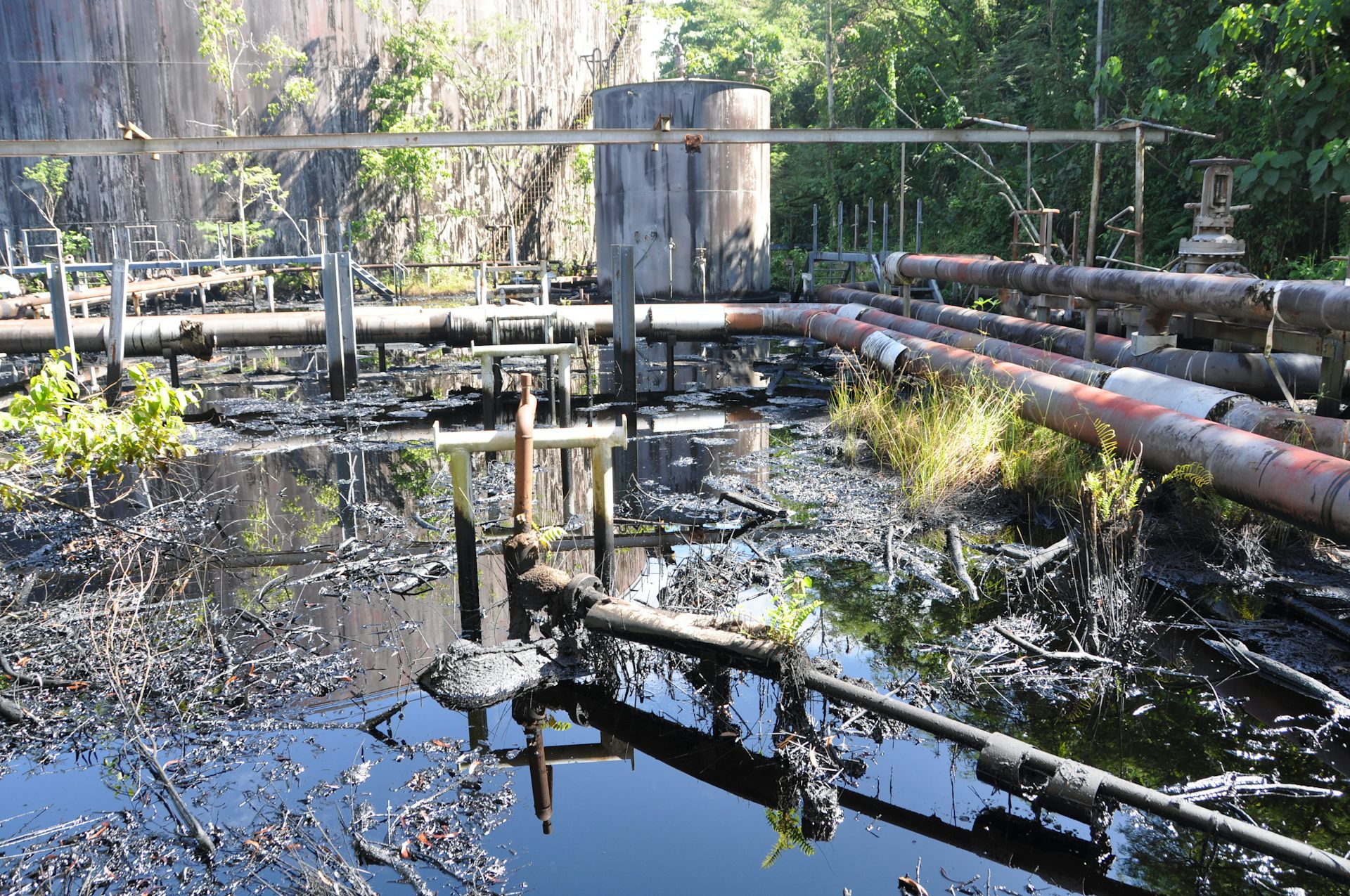 Bougainville wants independence. China’s support for a controversial ...