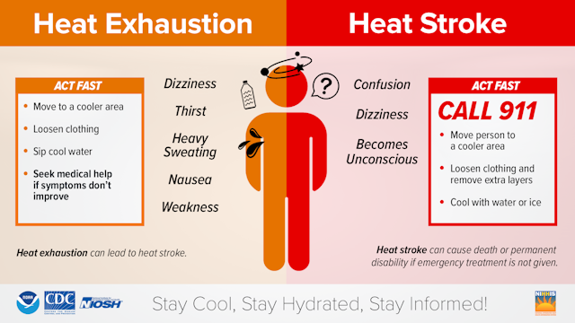 How to stay safe during heat waves – and the heat stroke warning signs ...