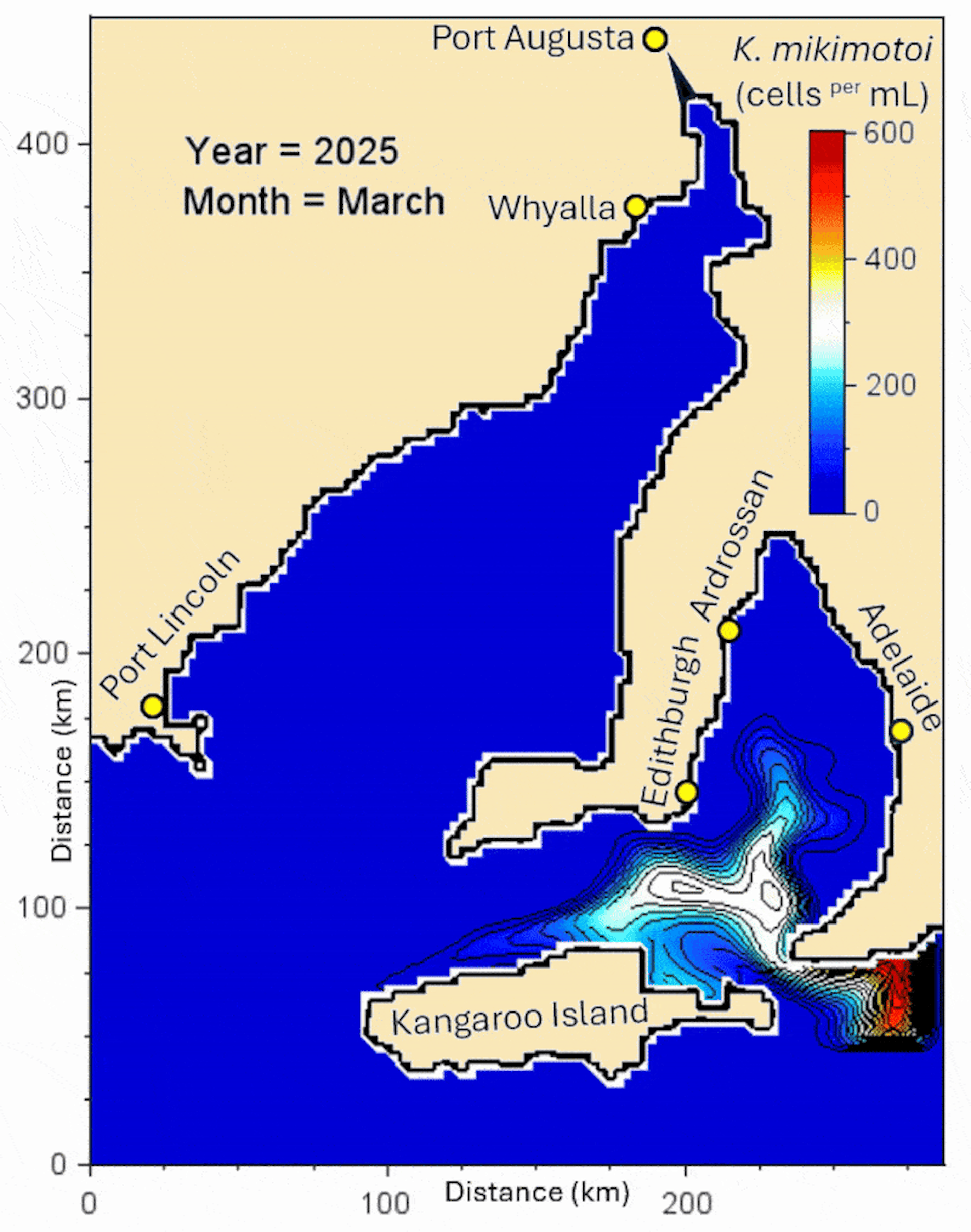 South Australia’s algal bloom may shrink over winter – but this model ...