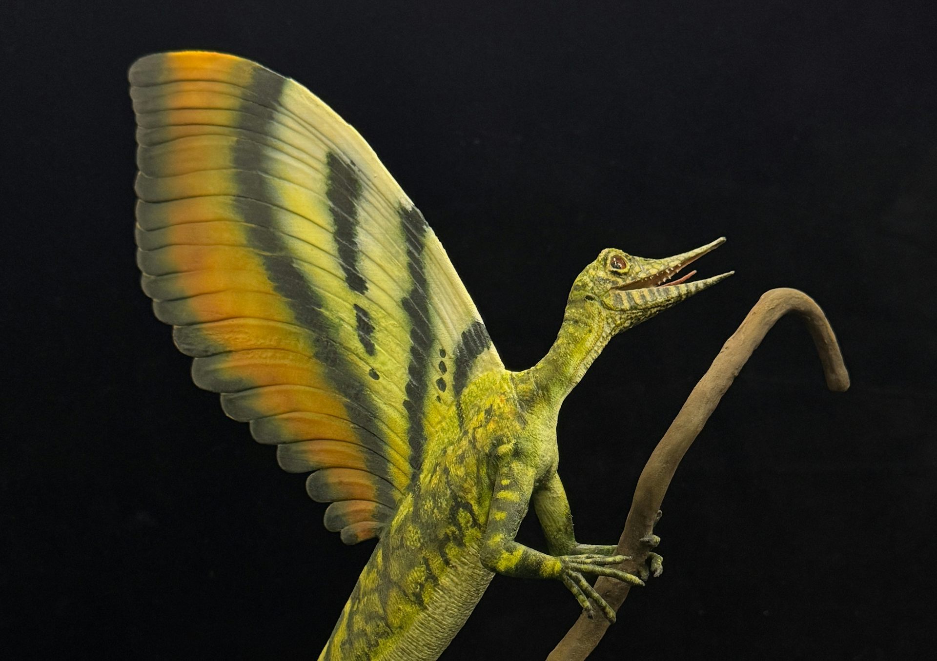 Mikiporn super satisfied by her looks as that girl allowed