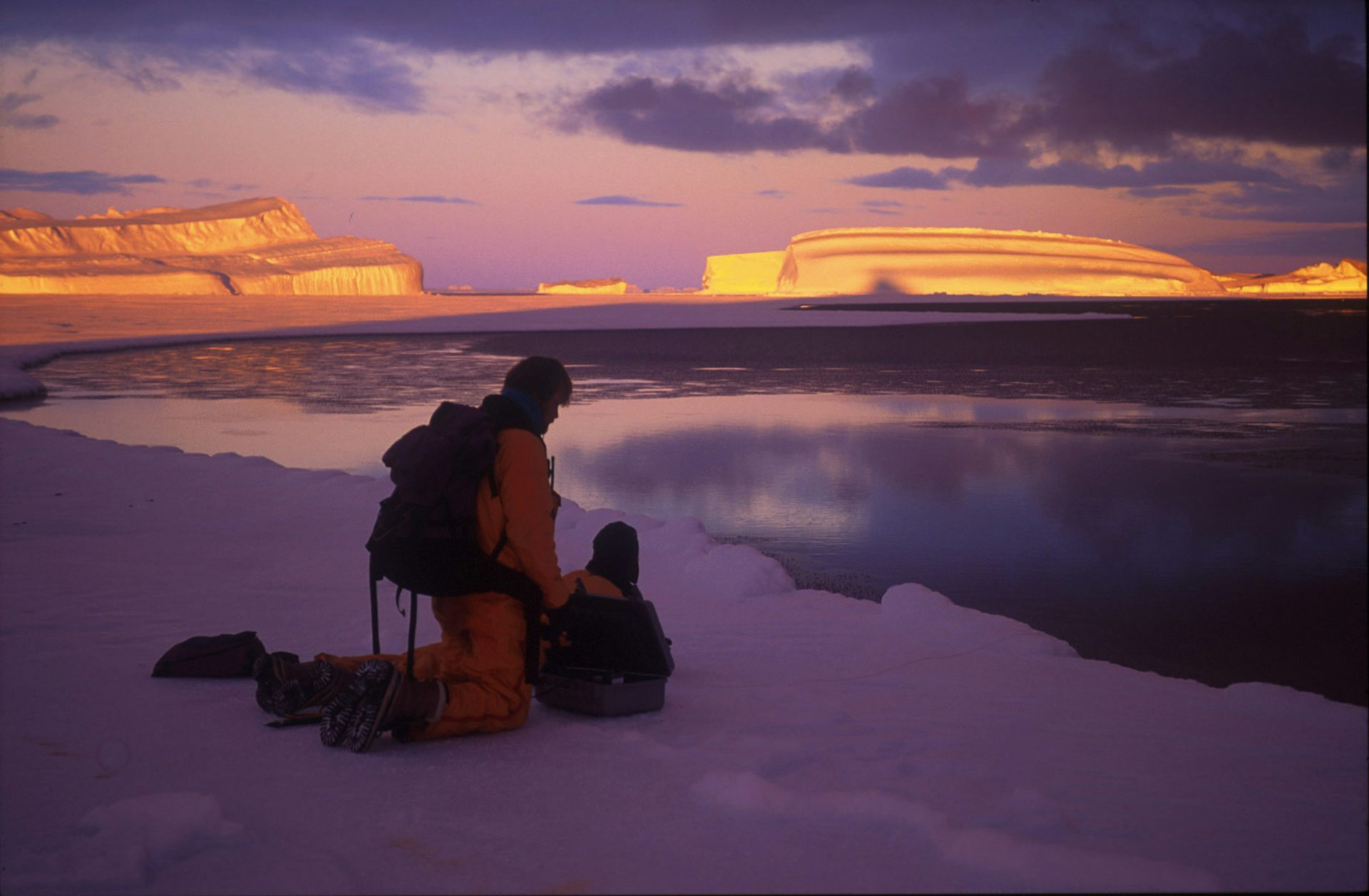 Rockabye baby: the ‘love songs’ of lonely leopard seals resemble human ...