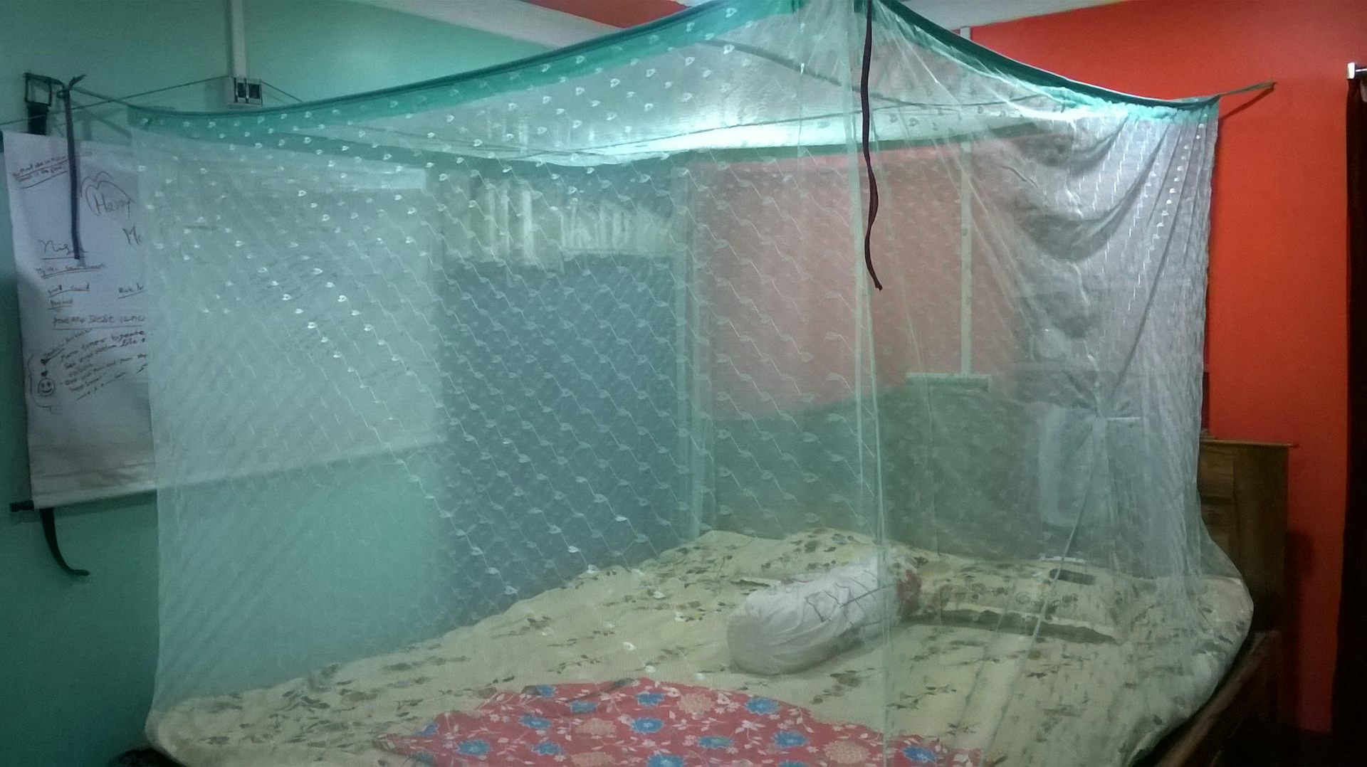Sulitnya memberantas malaria di Tanah Papua, apa masalahnya?