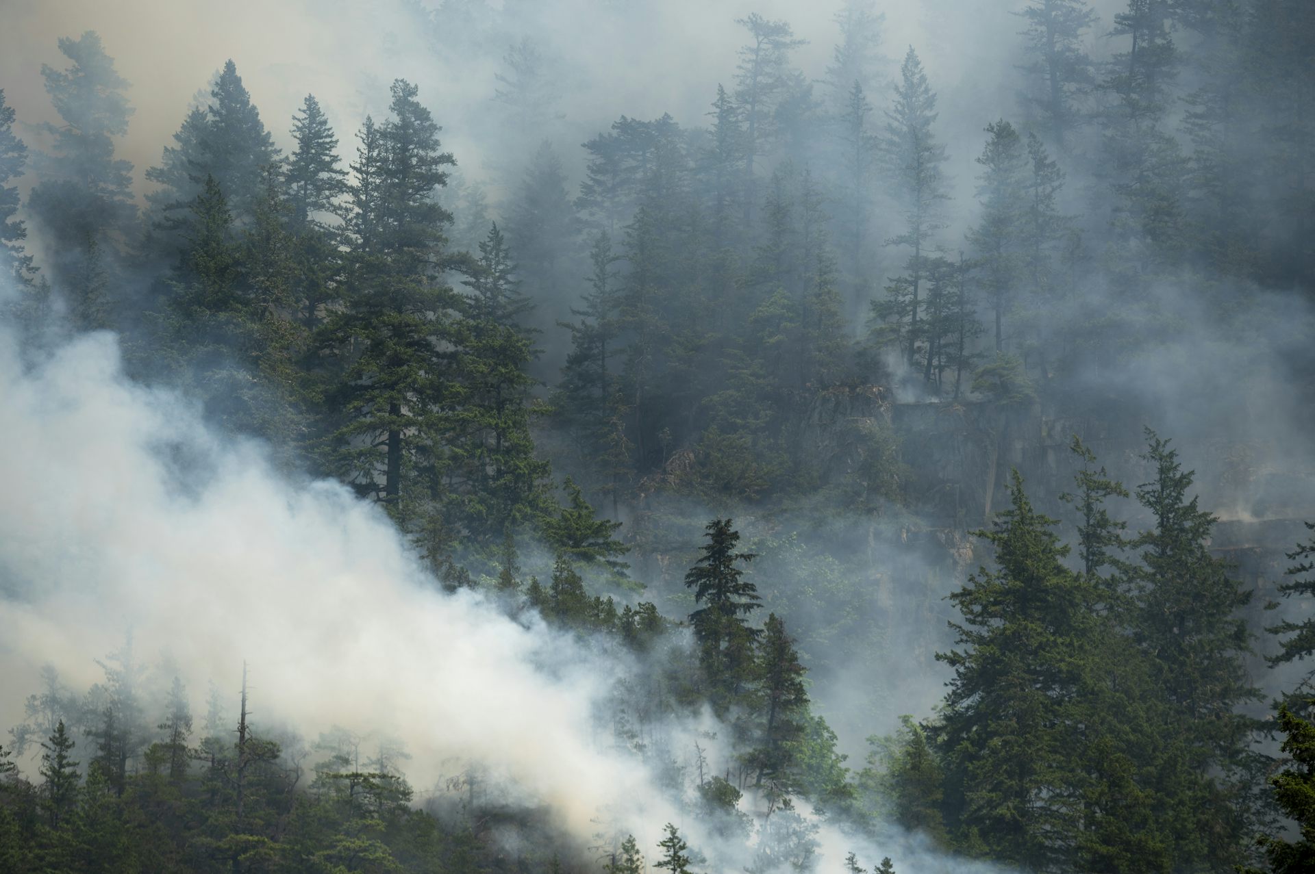 AI-generated misinformation can create confusion and hinder responses ...