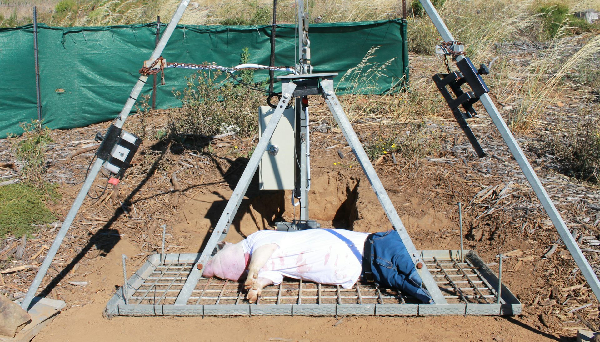 How do bodies decompose? Cape Town forensic scientists are pushing ...