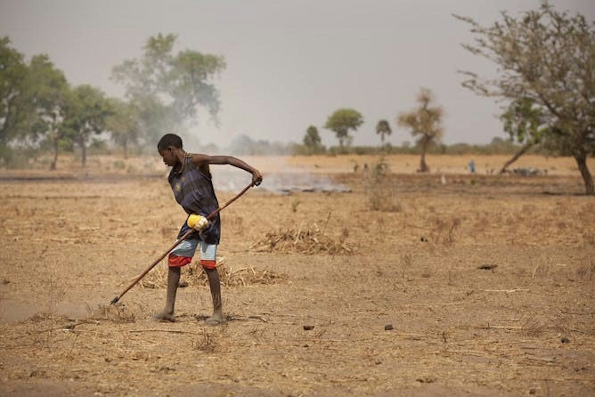 Le colonialisme et les risques climatiques sont liés : preuves issues ...