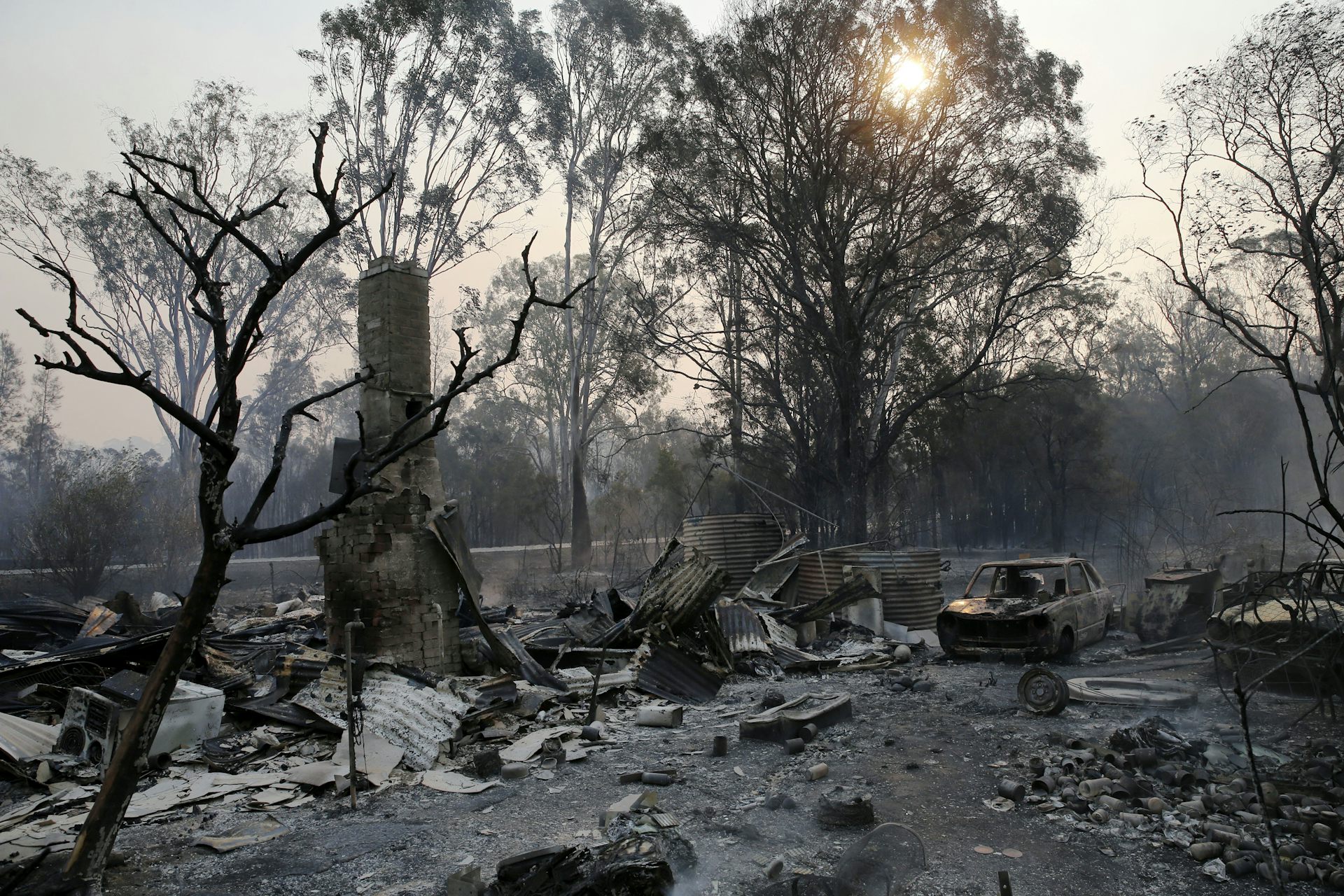 New research shows Black Summer’s megafires left lasting scars far ...