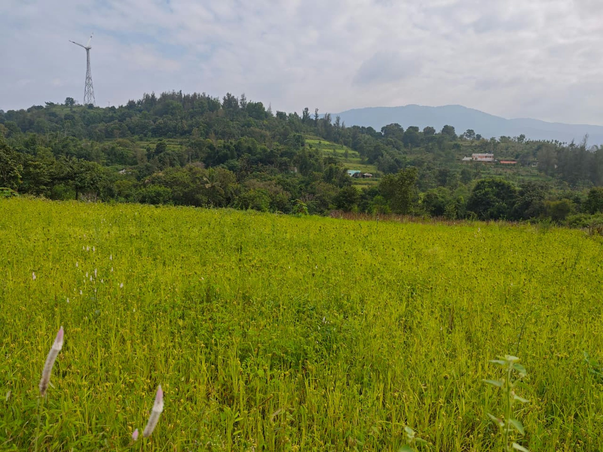 Environment – Views & Research – The Conversation