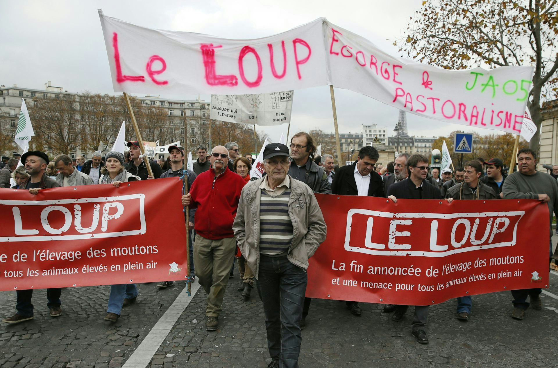 Retour du loup : sociologie d’un grand remue-ménage