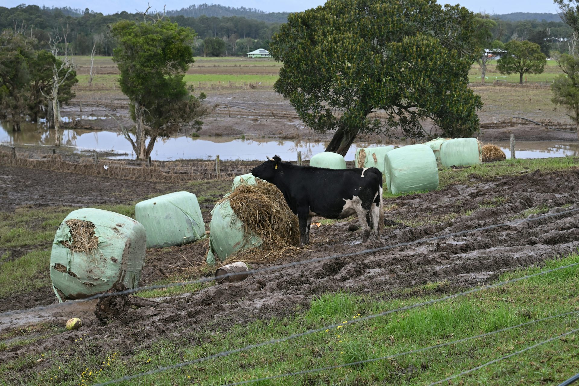 Australia’s new food security strategy: what’s on the table, and what’s ...