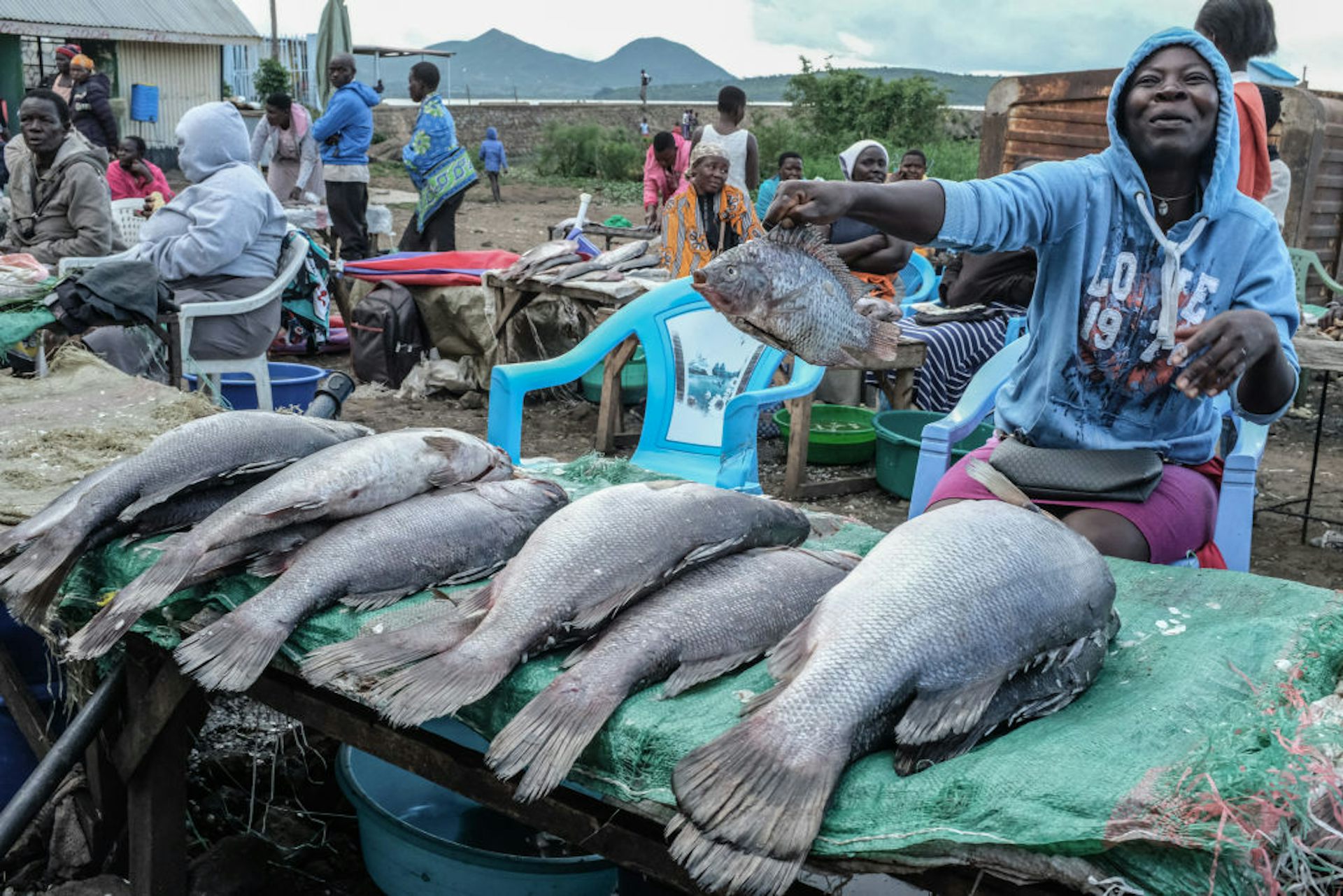 Fish is good food and demand outstrips supply in Kenya: how to produce ...