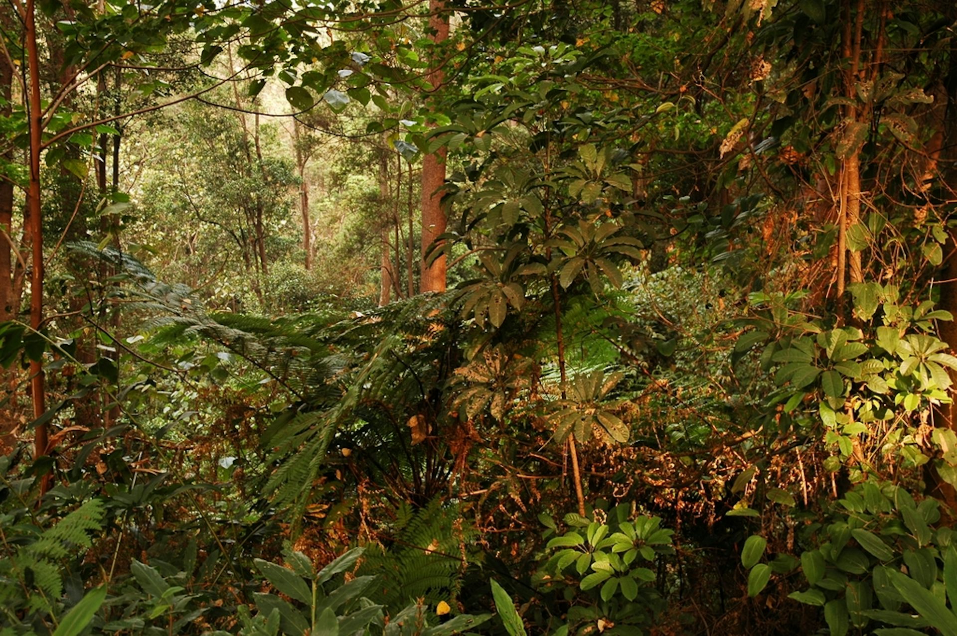 Deep but not dead: how tropical subsoil microbes could affect the ...