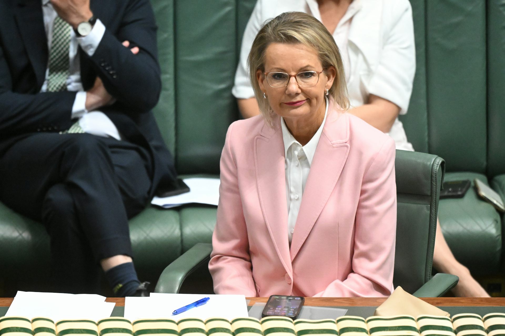 View from The Hill: The Liberals may fell Sussan Ley but she won’t make ...