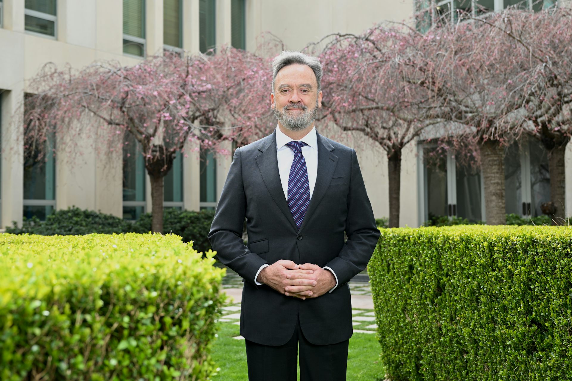 Politics with Michelle Grattan: Liberal Andrew McLachlan on why he’ll ...