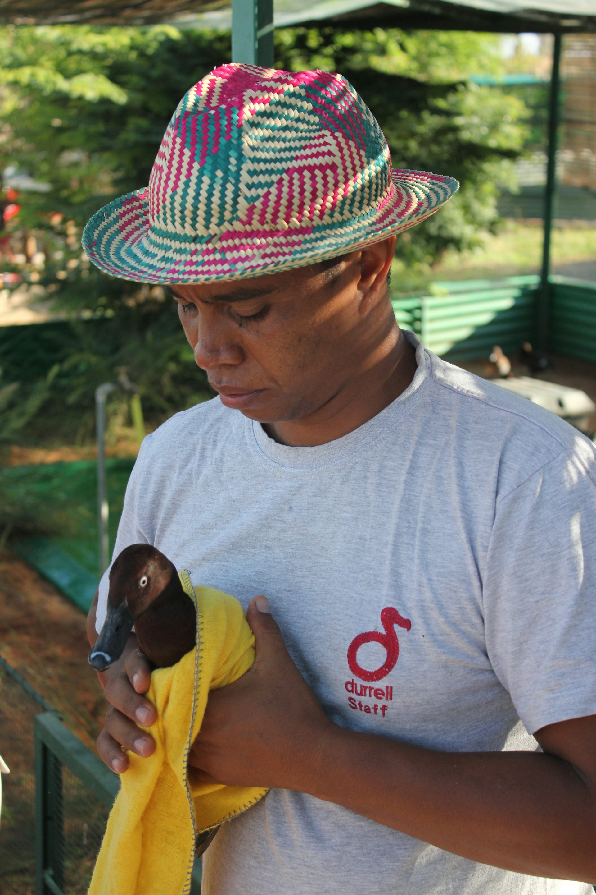 Two decades after his death, Gerald Durrell is still making the world a ...