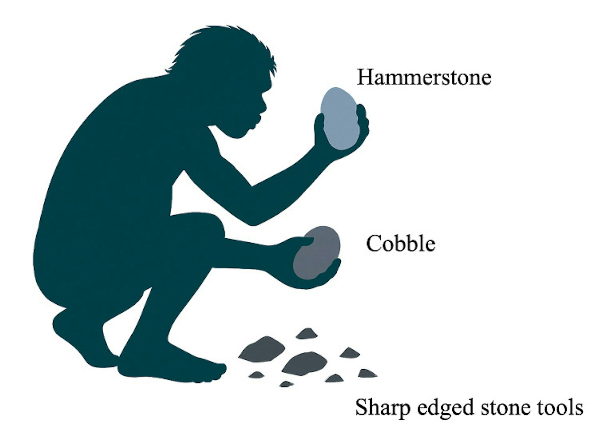 Early humans relied on simple stone tools for 300,000 years in a ...