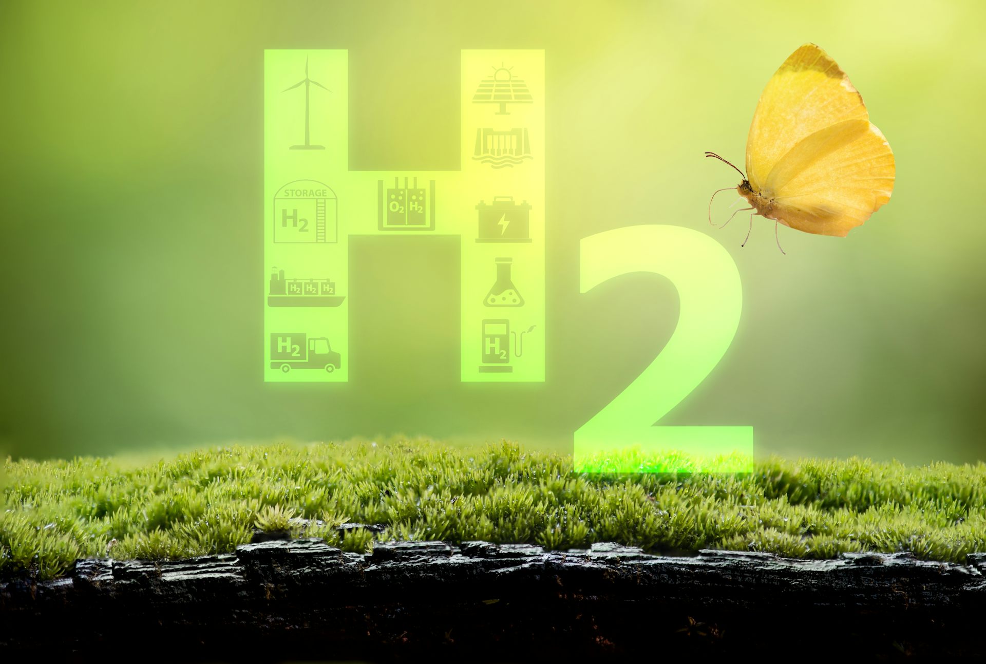 Biohidrógeno: un combustible clave para América Latina y la transición ...