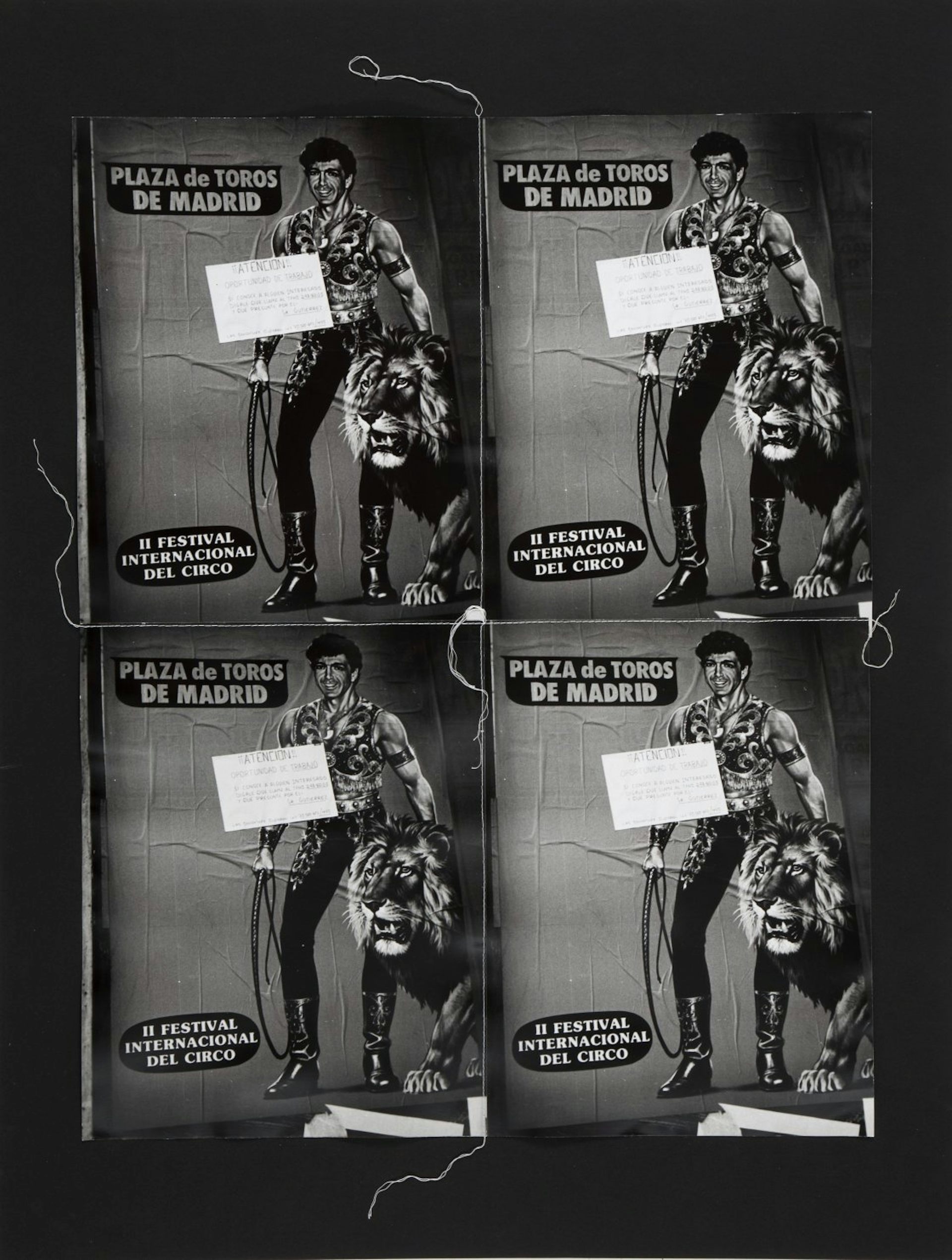 Estrella de Diego: ‘En el arte, uno tiene que revisar la historia y ...