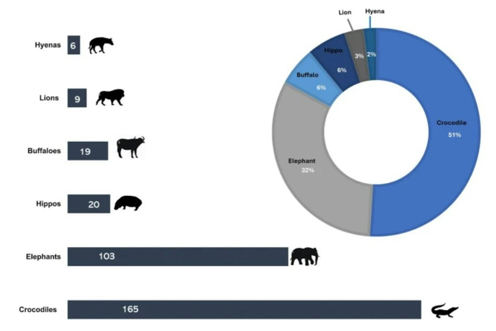 Human-wildlife conflict in Zimbabwe is a crisis: who is in danger ...