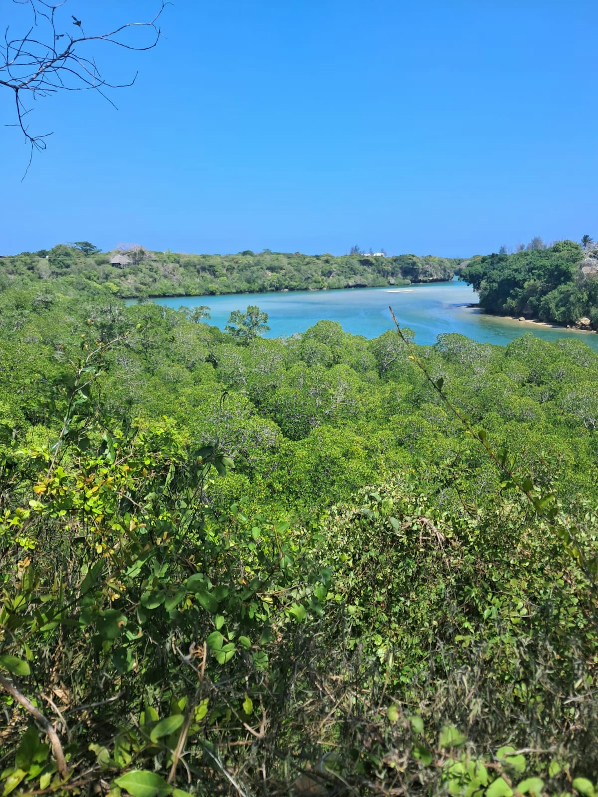 Climate change is hurting Kenyan women working in coastal tourism ...