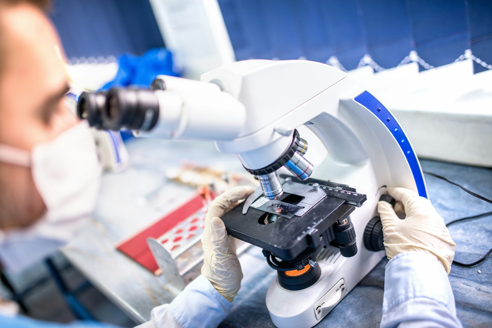 Taking the long view: universities and their unique research role
