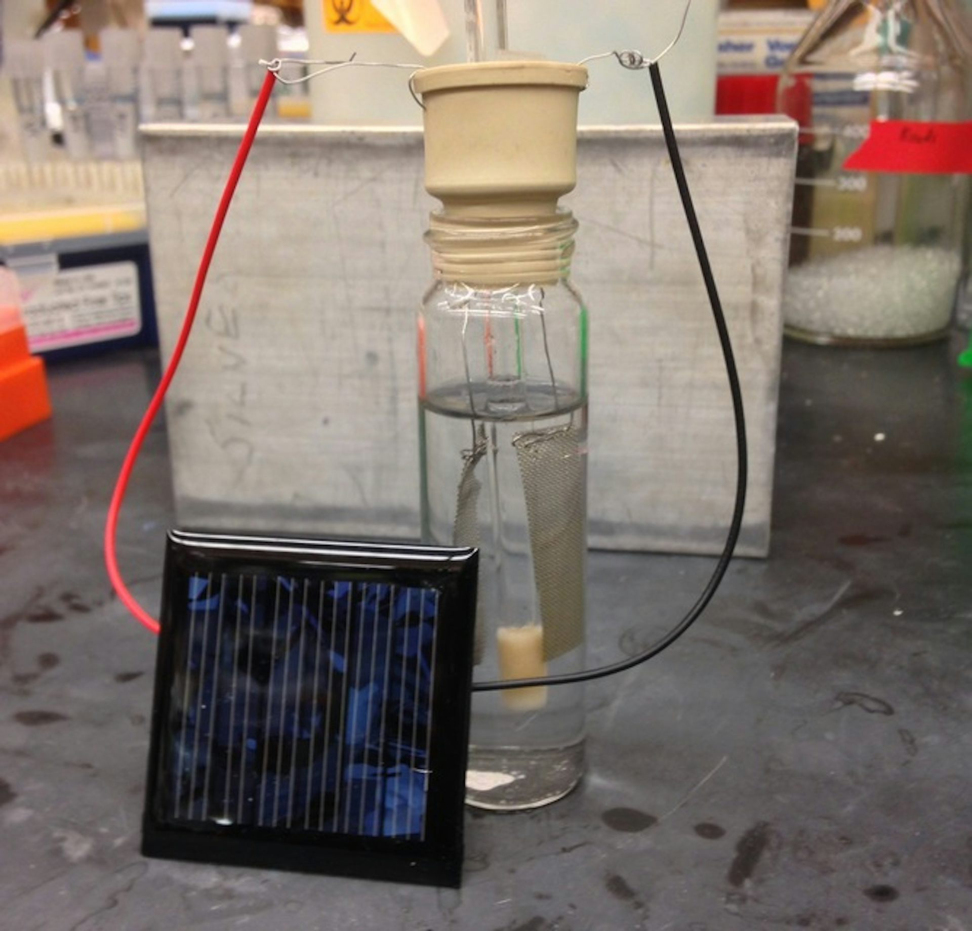 A ‘bionic leaf’ turns solar energy into chemicals and fuels