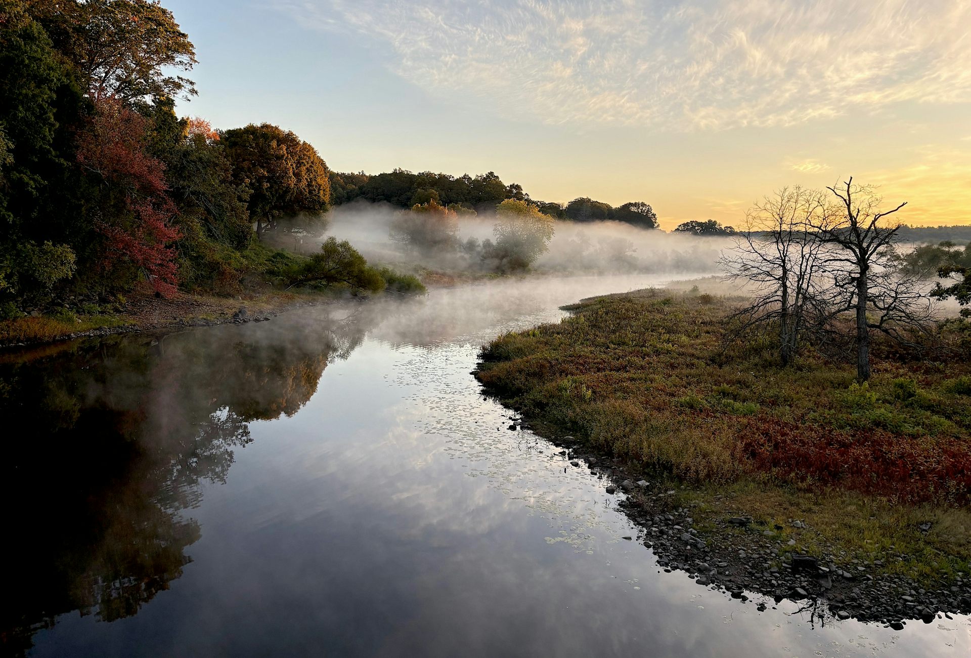 Thoreau the scientist – how environmental research informed ‘Walden ...