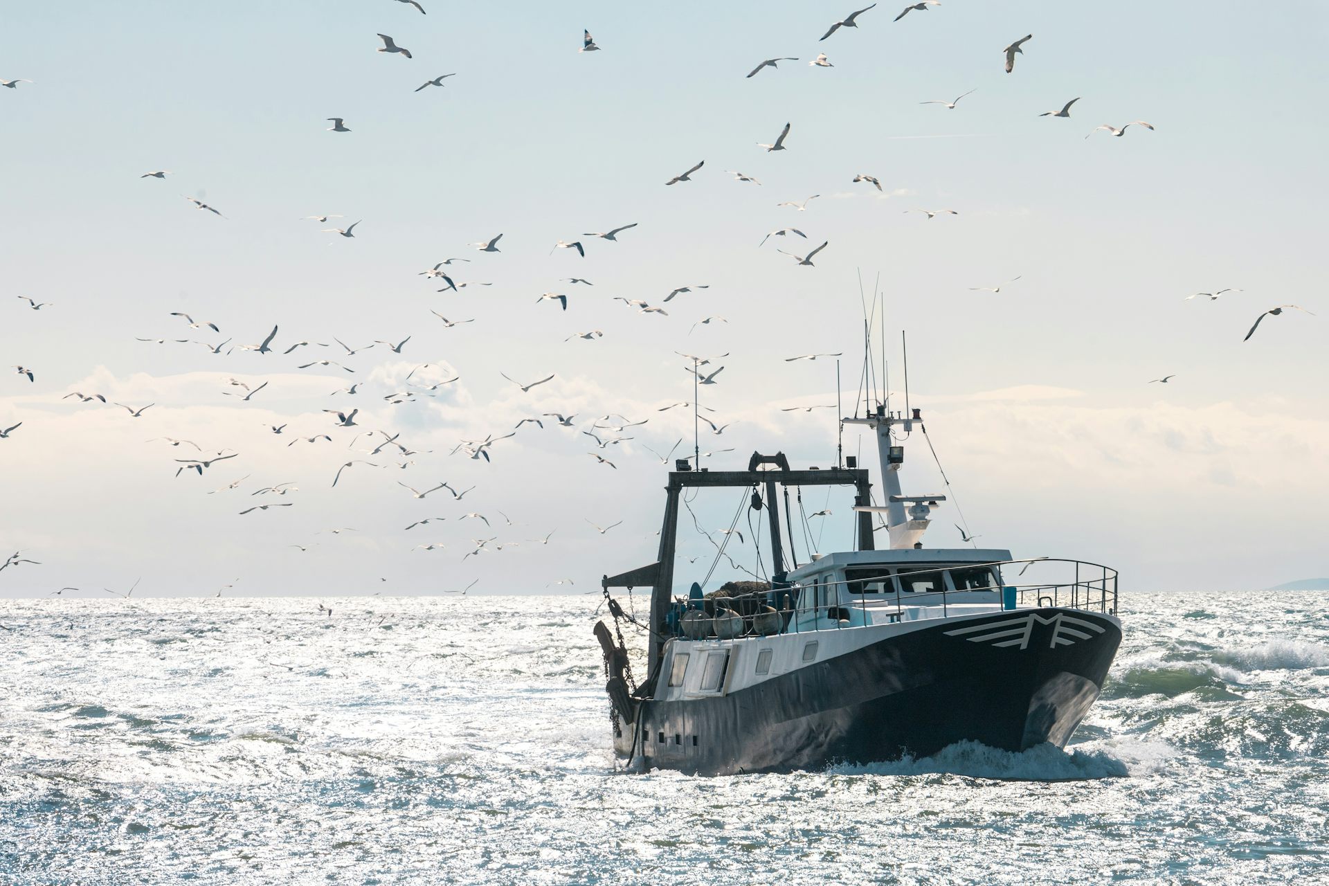 Qui prendrà el relleu en la pesca europea? La ciència alerta d'un ...
