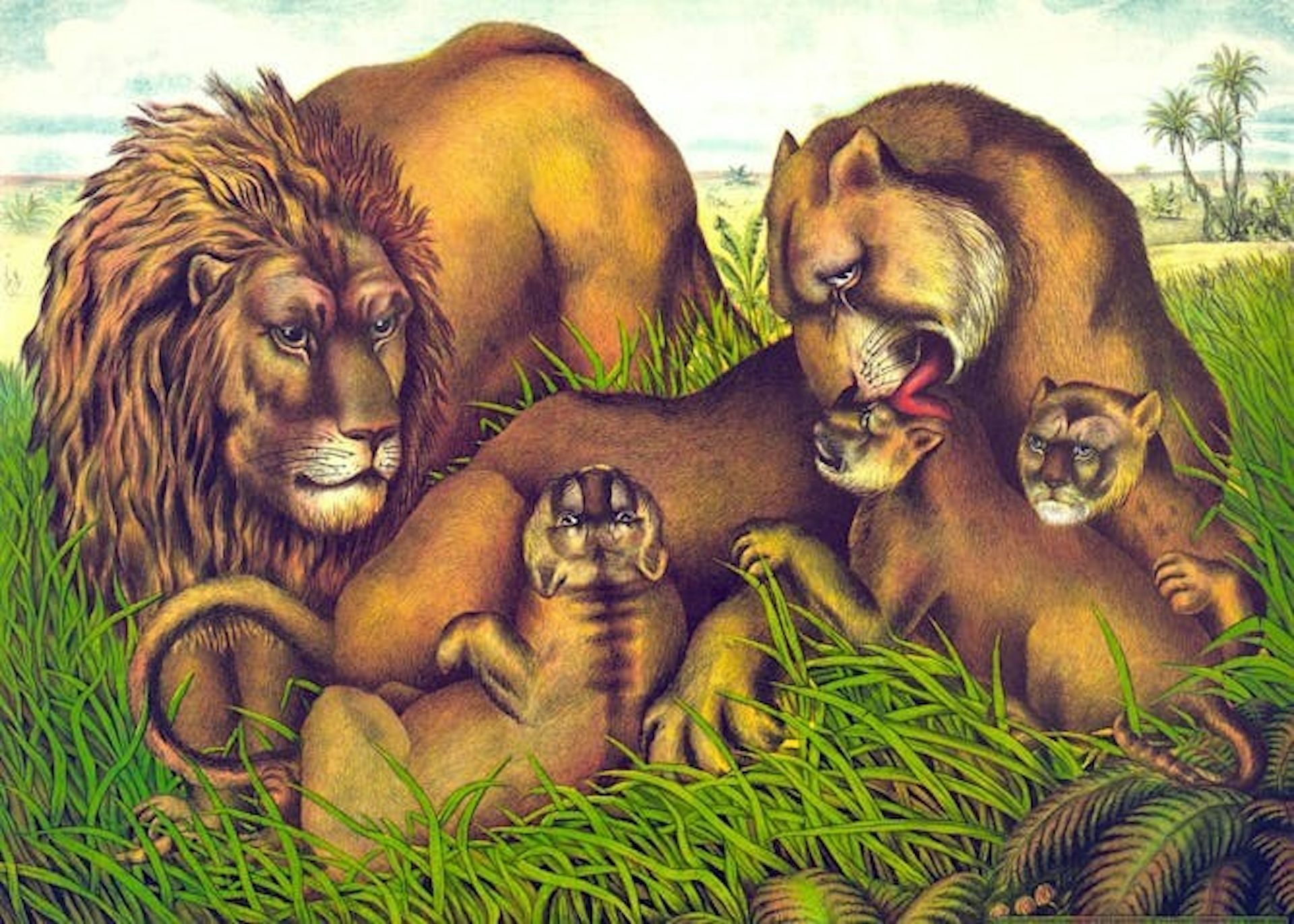 Animaux sacrés et royaux du Cameroun : la littérature et la prospective ...