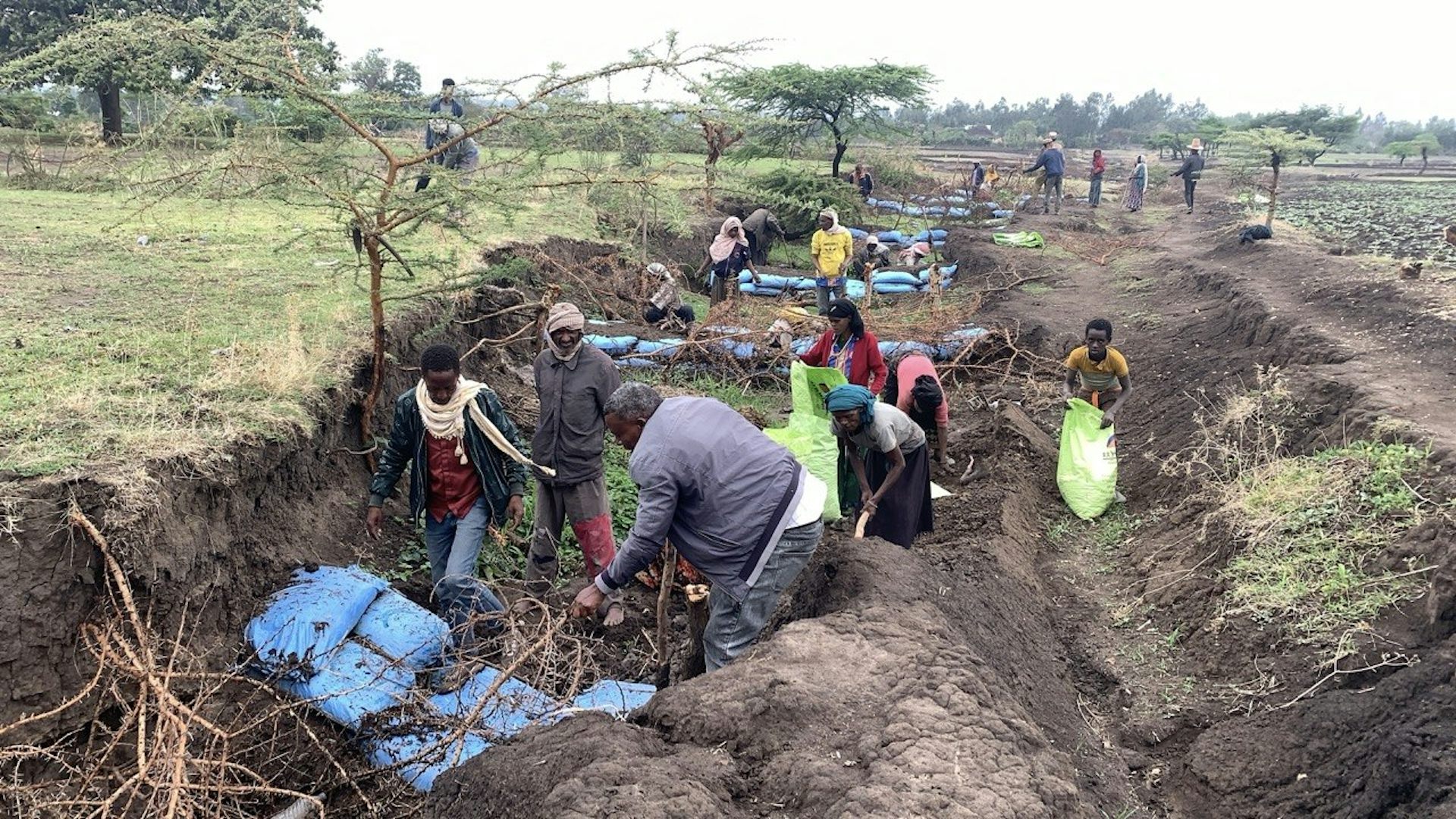 Ethiopian communities are using low-cost methods to restore eroded land