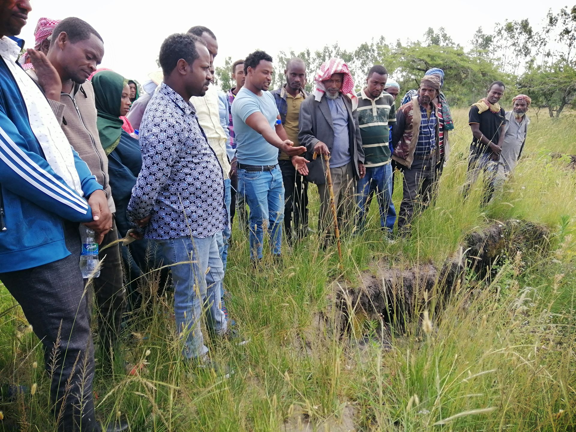 Ethiopian communities are using low-cost methods to restore eroded land