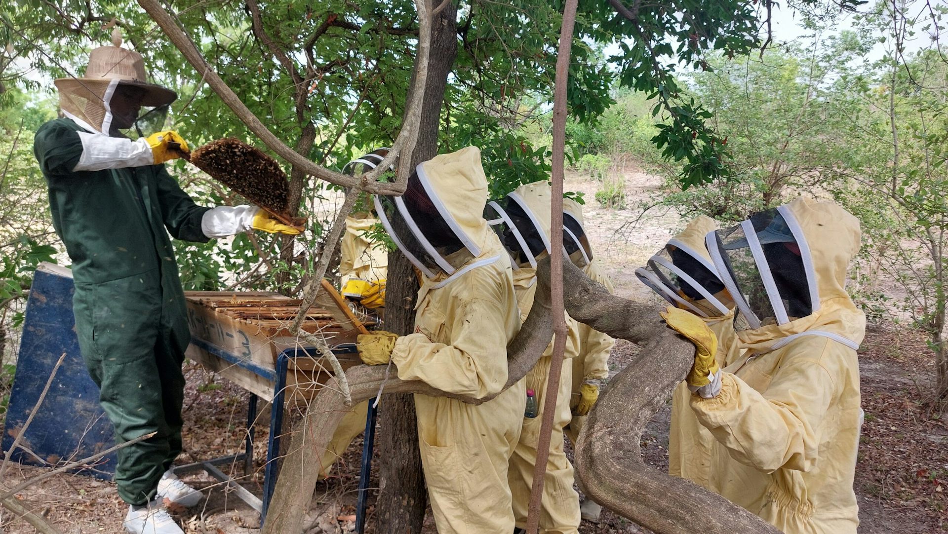 Community conservation in Ghana has evolved, but policy and funding ...