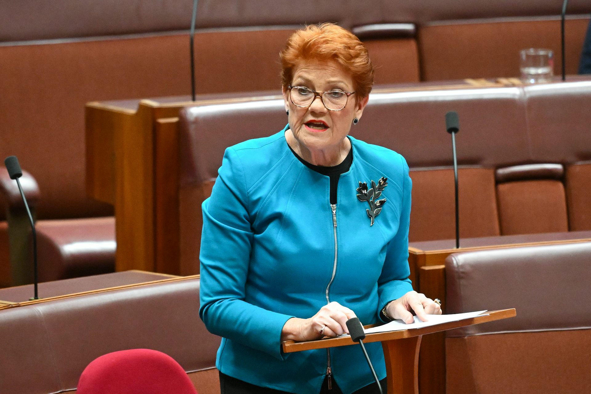 View from The Hill: Could One Nation be the unofficial…