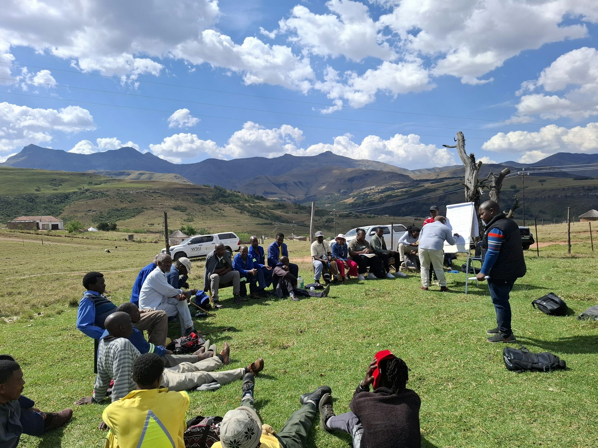 Climate change is threatening sheep farmers in South Africa’s ...