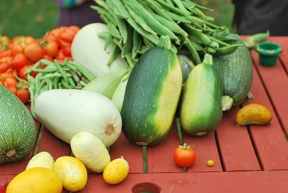 More Than One Good Reason For Eating Mainly Plant Foods more-than-one-good-reason-for-eating-mainly-plant-foods