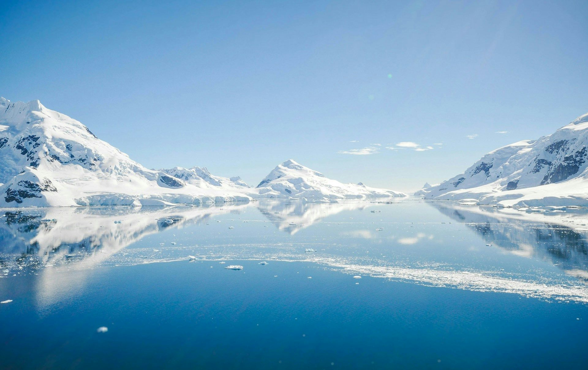 The giant viruses that orchestrate life in the polar regions