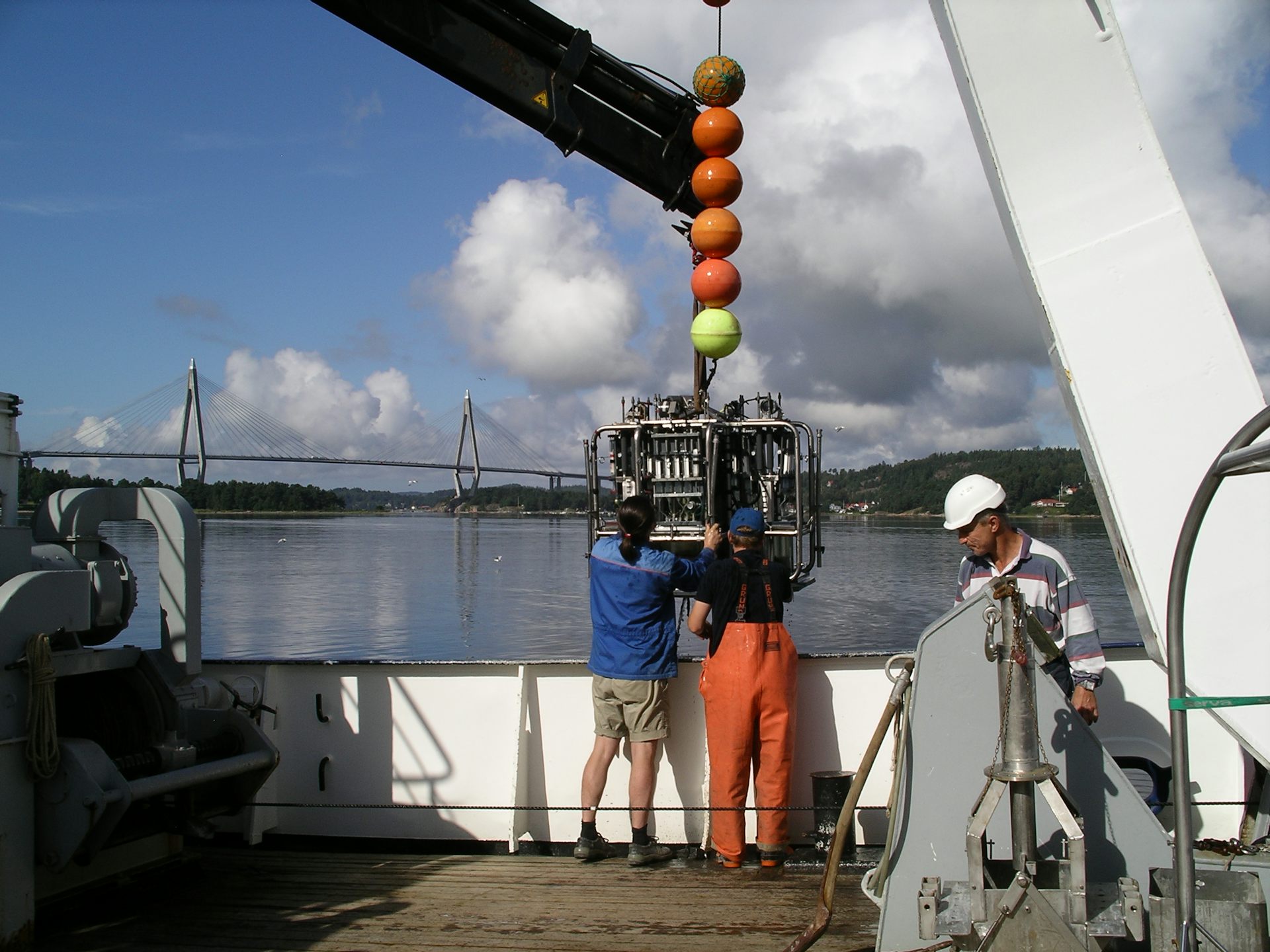 Ecological engineering: a breath of life for marine ecosystems