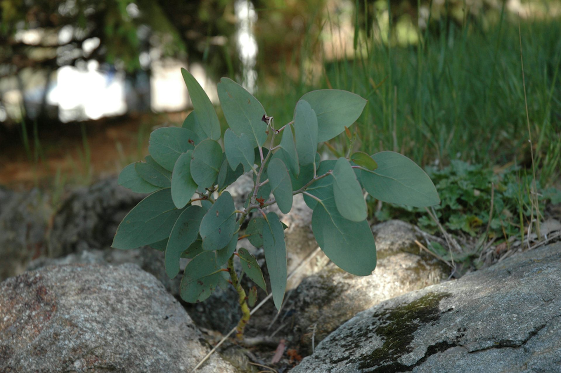 Don’t bet it all on the carbon farming