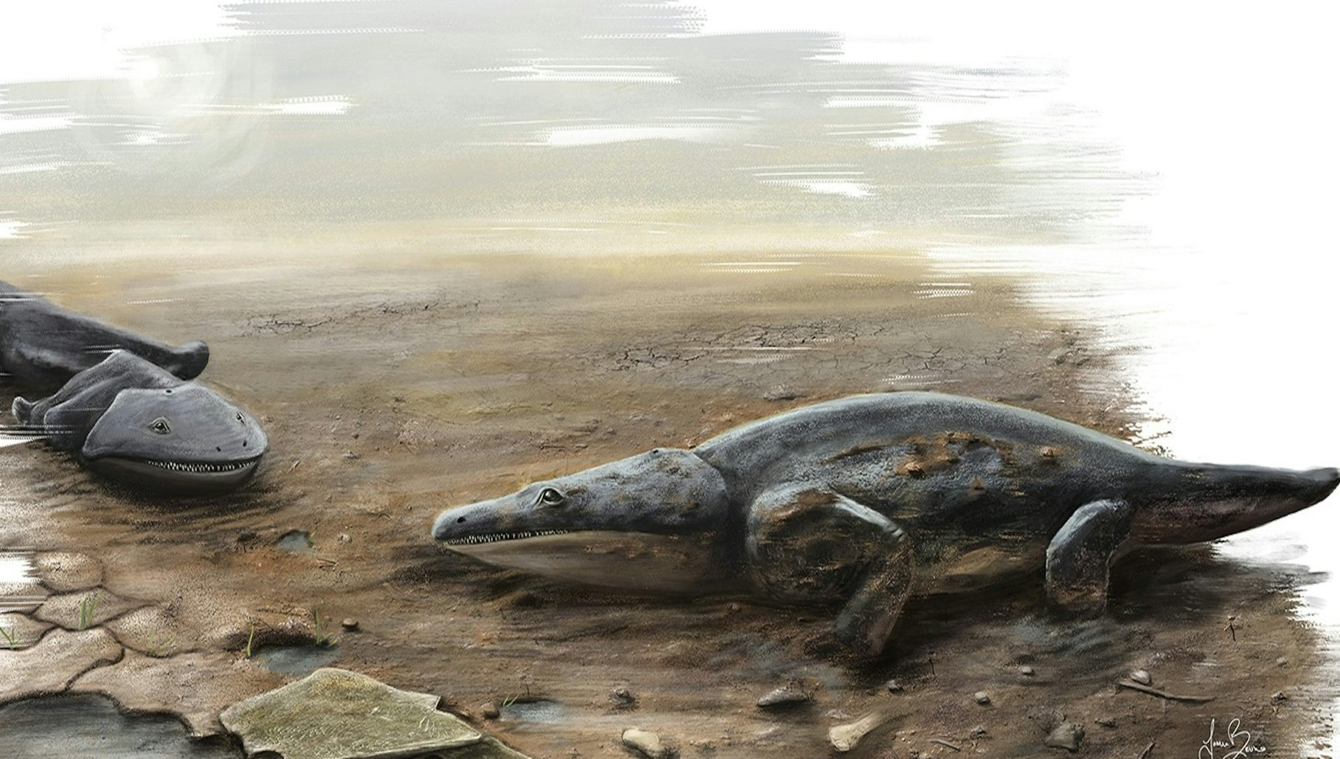 Meet the super salamander that nearly ate your ancestors for breakfast