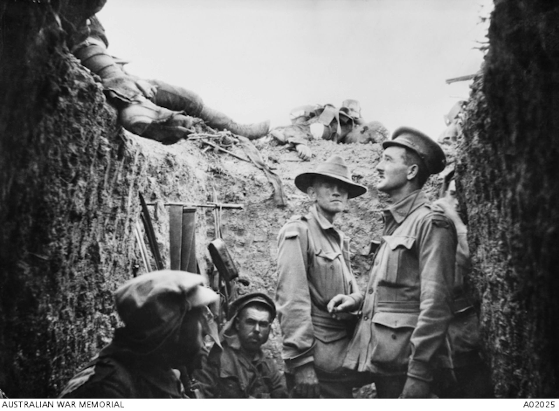 Flies, filth and bully beef: life at Gallipoli in 1915
