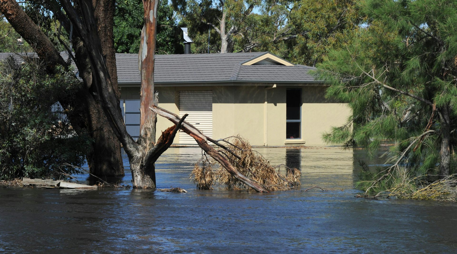 Floods play a vital role in ecosystems – it's time to get out of their way