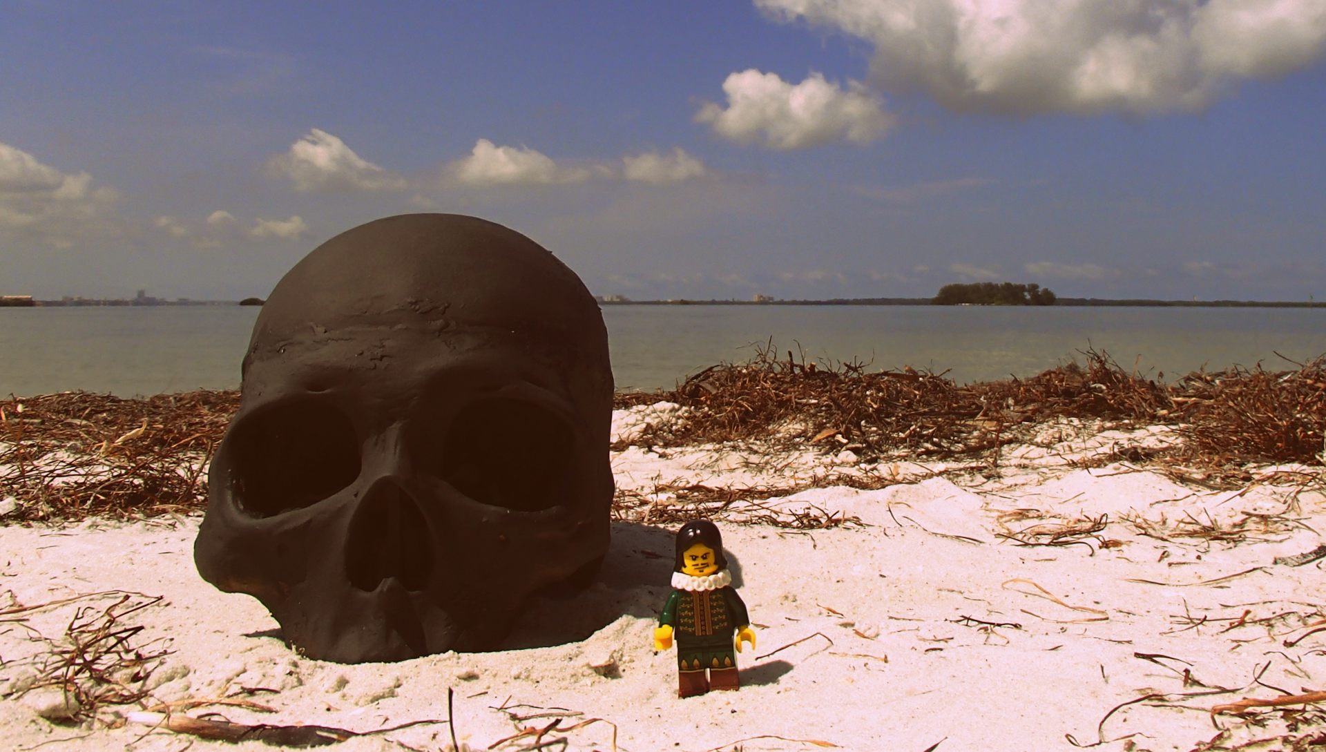 Shakespeare’s Double Falsehood? Alas, that’s neither true nor false