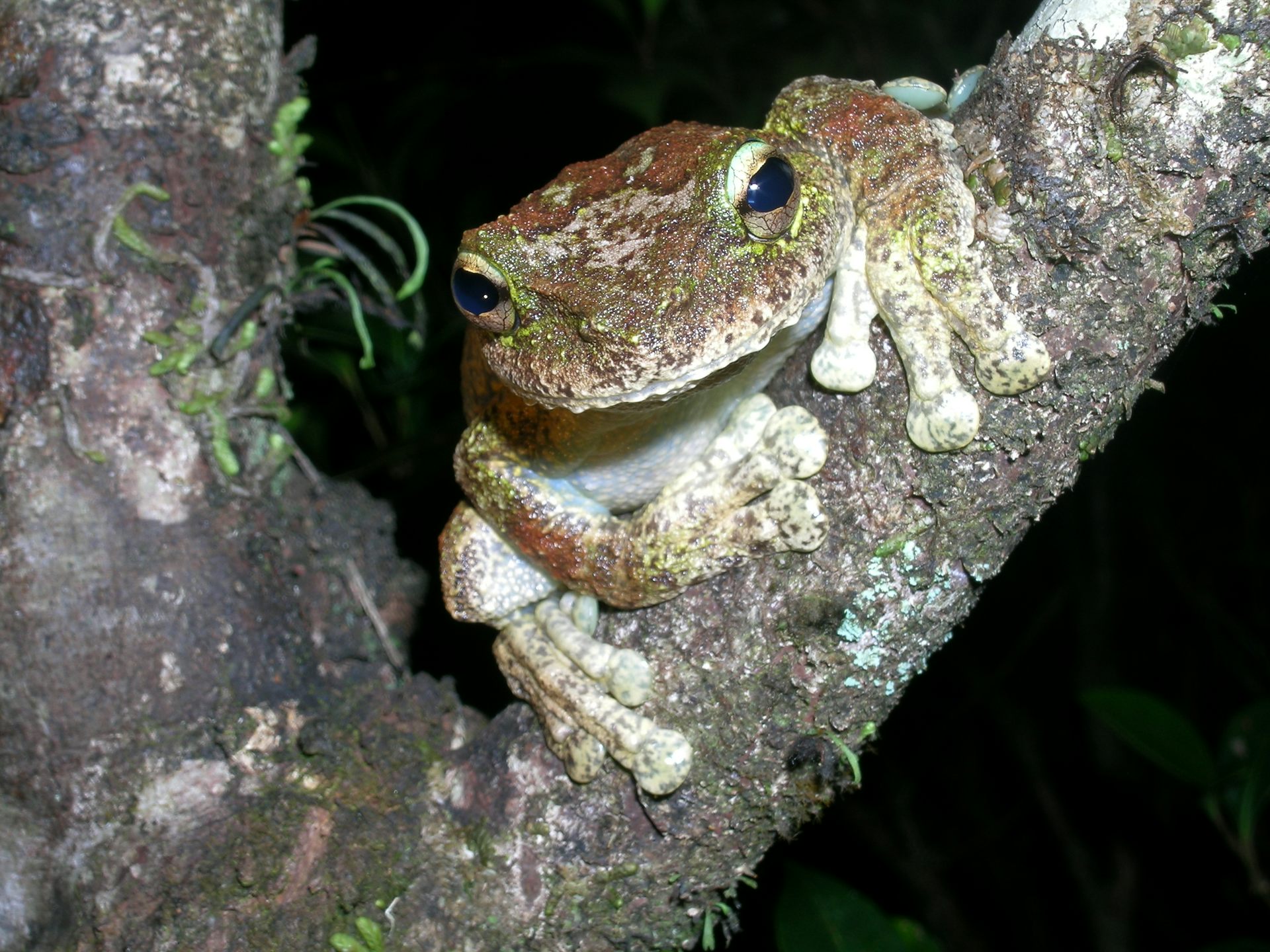 Let’s get serious about protecting wildlife in a warming world