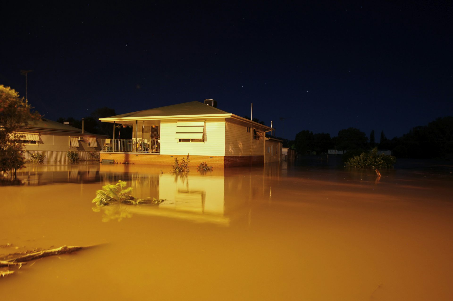 Can’t see the water through the trees - a better plan to reduce floods